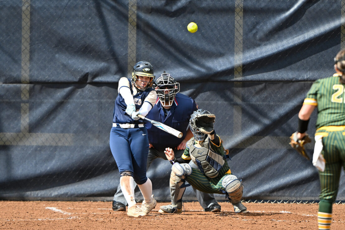 Walkoff homer from Gavlock sends Eagles to D6 AAA final, clinches PIAA ...
